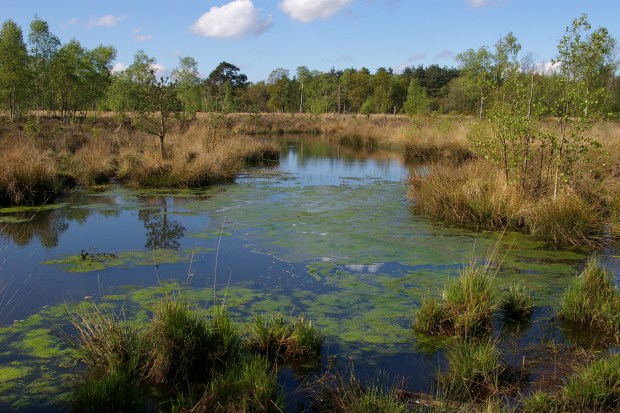 Surrey Nature Partnership – Healthy Environment | Healthy People ...