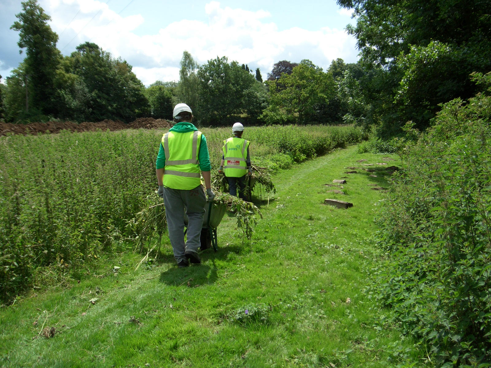 Get involved – Surrey Nature Partnership