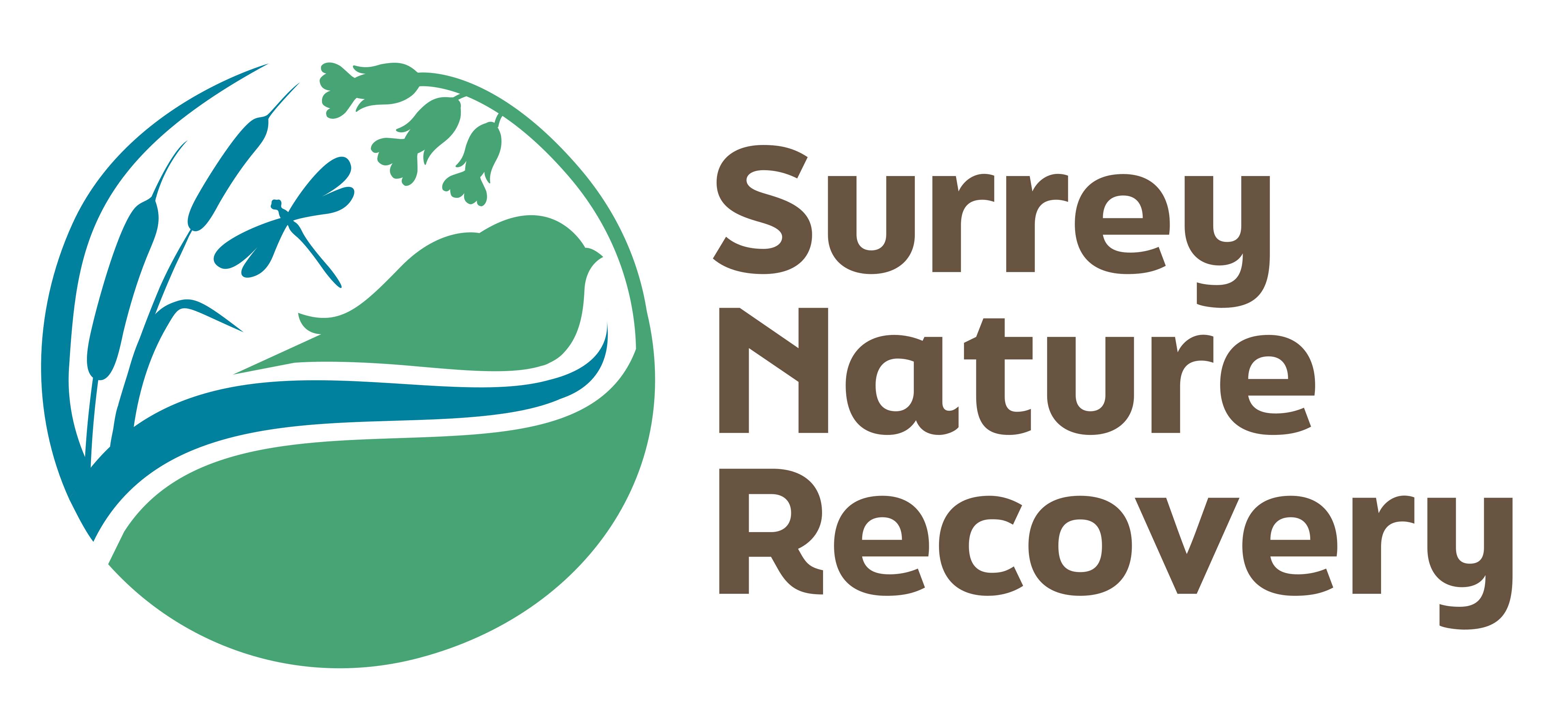 snr_logo-2 – Surrey Nature Partnership