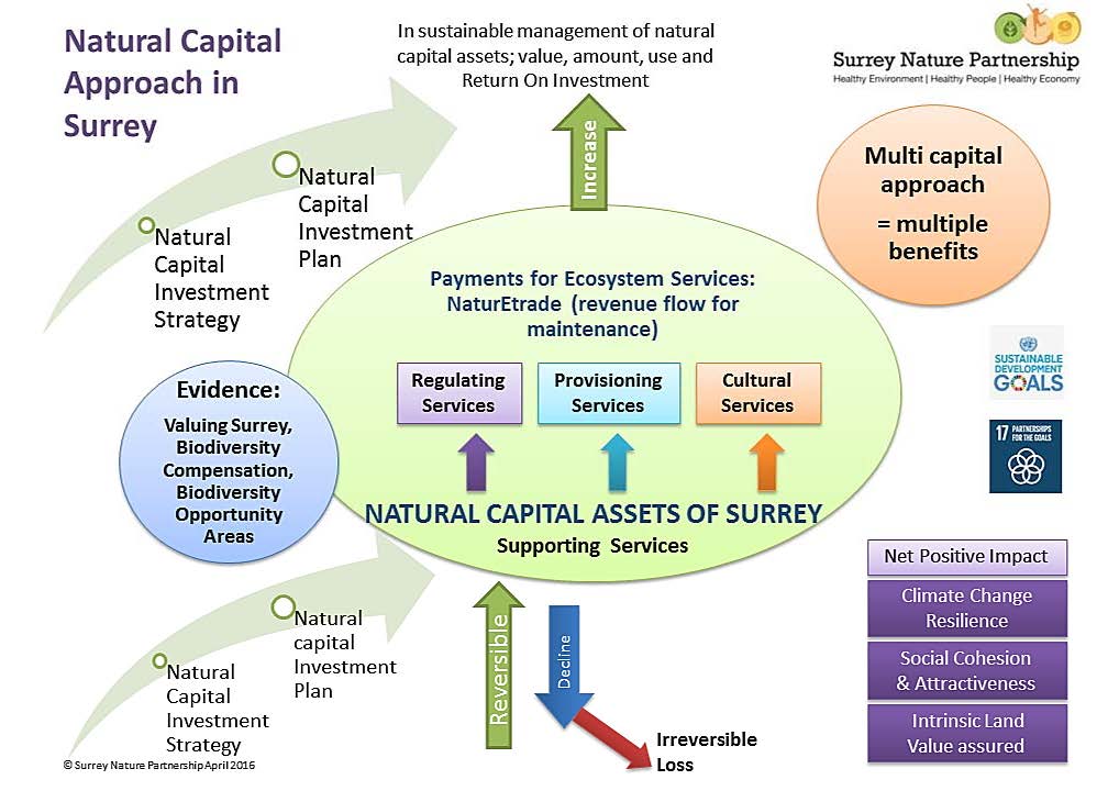 Natural Capital Approach in Surrey – Surrey Nature Partnership
