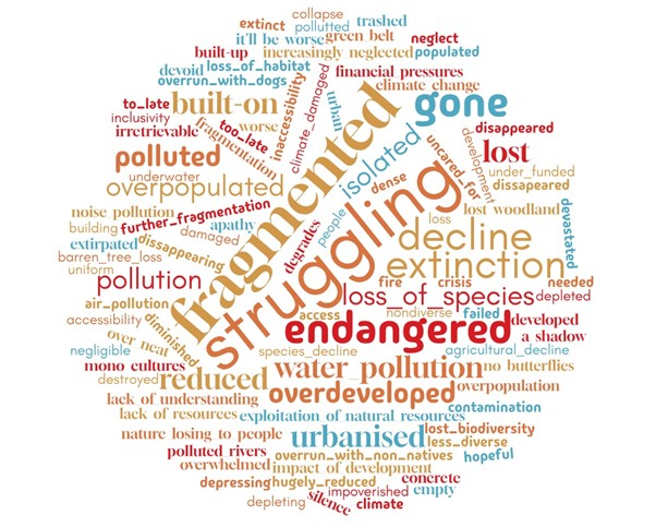 Insights from Surrey Local Nature Recovery Strategy Workshops – Surrey ...