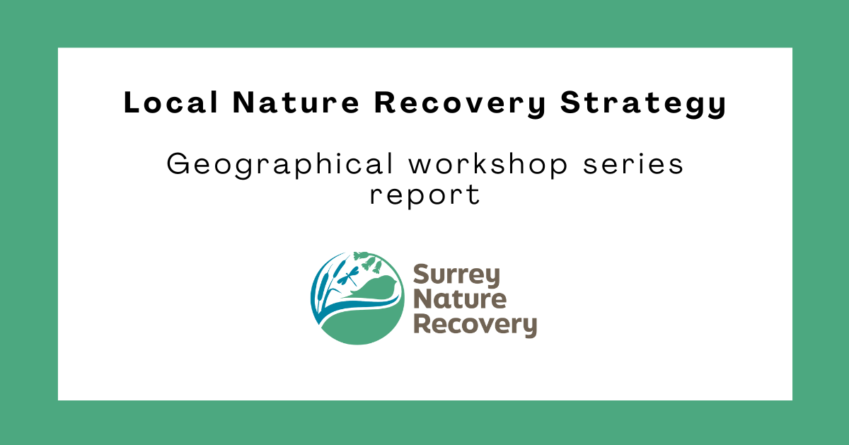 Surrey Nature Partnership – Healthy Environment | Healthy People ...