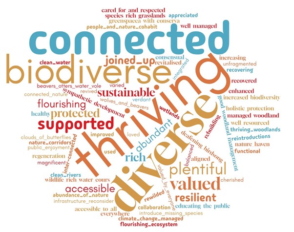 Insights from Surrey Local Nature Recovery Strategy Workshops – Surrey ...