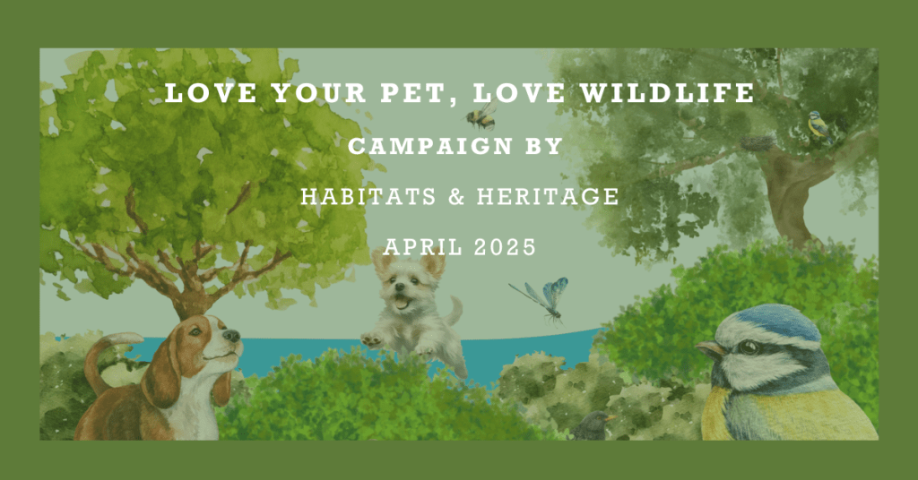 Surrey Nature Partnership – Healthy Environment | Healthy People ...