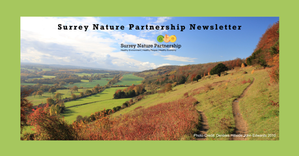 Surrey Nature Partnership – Healthy Environment | Healthy People ...