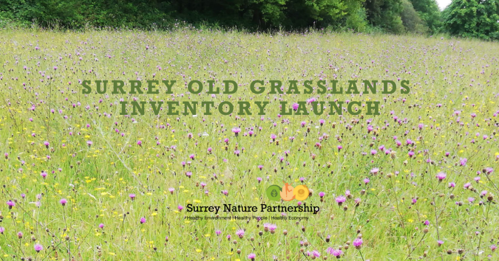 Surrey Nature Partnership – Healthy Environment | Healthy People ...