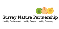 Surrey Sites of Nature Conservation Importance – SNCI – Surrey Nature ...